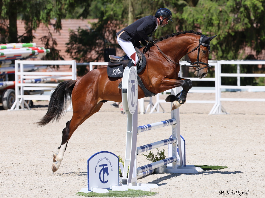 Český sportovní kůň - Homepage